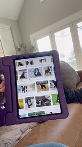 Bruno got a hold of Keegan’s iPad! #fluffyfeatherfarm #bernesemountaindog #berner #ipad #dog #cutedog Website:https://fluffyfeatherfarm.com Merchandise:https://fluffyfeatherfarm.square.site | Fluffy Feather Farm