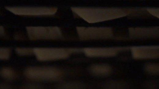 EverestPetsGifts - Etsy