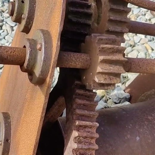 Rusty brain 🧠 and bones 🦴🦴 exercise