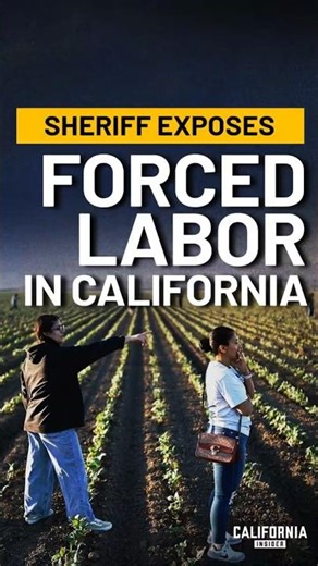 Sheriff Exposes Cartel Infiltration in California