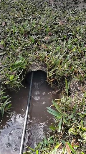 Hydro Jetting Drainage| Clean and Unclog your drainage #hydrojetting #draincleaning #drain