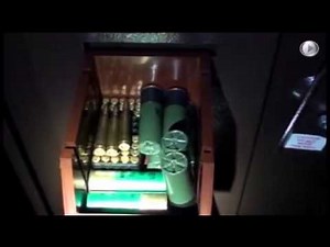 New Video Shows Inside Adam Lanza The Newtown Shooter's Home 1000 of Records Released