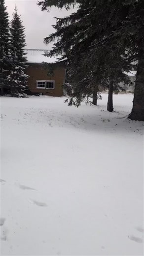 1.3K views · 68 reactions | Watch me install my snow meter! I should've installed it when the ground was not frozen... The measurements are not correct but I will fix it... I want to say a big thank you to one of my Women's trip clients for this beautiful gift! The rider even has a pony tail! Custom made for me懶 loving it!! | Follow Her North | Facebook