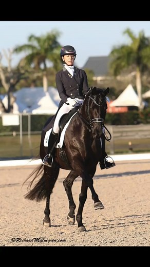 Denali takes the ring at the Adequan Global Dressage Festival in Wellington 🌴🦩 . . . . #teamtate #feidressage #classicaldressage #thisismydressage #horseshow #equestrian #horsetrainer | Team Tate Academy