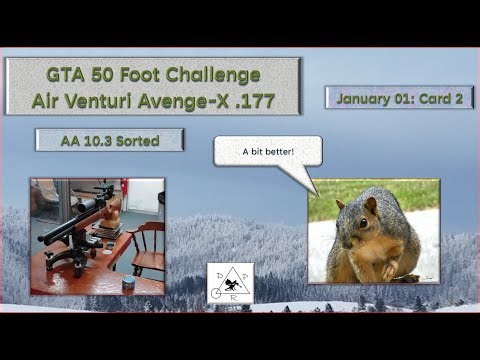 Avenge-X Shooting Gateway to Airguns 50 Foot Casual Match: January Round 01 Card 02 (Dec. 28 start)