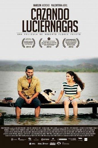 Chasing Fireflies - Movie