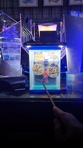 😎😎😎😎 | Betta Moon ID