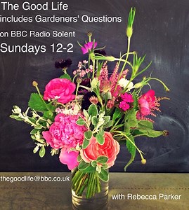 19 reactions · 11 shares | Celebrating British Flowers Week (9th-13th...