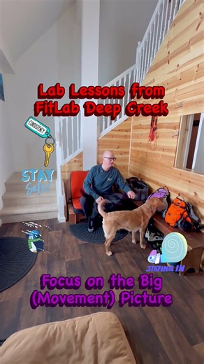 Focus on the Big (Movement) Picture #dogtraining #hiking #labrador #winter2026 #maryland