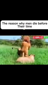 1.3M views · 11K reactions |  | Pop Comedy | Facebook