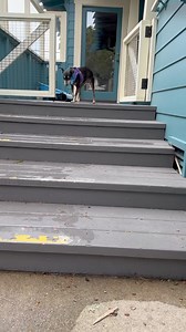 Can you see that Sparkle in her eye? 😘ADOPT: Sparkles ✨Miniature Pinscher | female | approx. 14 y/o | 11 lbs https://www.peaceofminddogrescue.org/dog.php?id=3876 Radiant and full of charm, Sparkles is searching for her forever home where she can truly shine! As a senior sweetheart, she's all about embracing every moment with joy and enthusiasm. Whether it's a leisurely stroll or a spontaneous adventure, Sparkles is ready to be your loyal companion. Let's make every day sparkle with cuddles and 