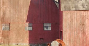 Texture Tuesdays-the number 2