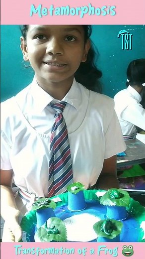 Life Cycle of a Frog 🐸|Class 8th Project
