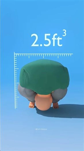 Great Wall Thought Experiment 😮🧱