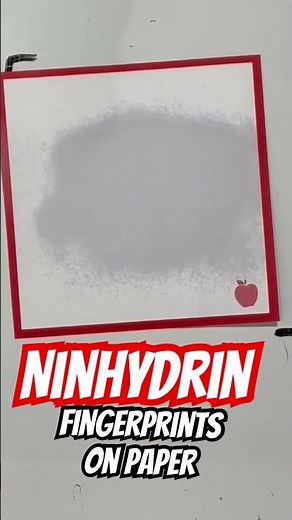 Fingerprinting Paper with Ninhydrin