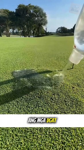116K views · 657 reactions | GOLF COURSE #highlightseveryonefollowers2025 #fblifestyle #followers | Jhee Vlog | Facebook