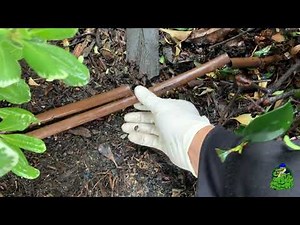 How To Fix Drip Line Breaks