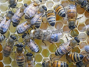 Erinevus Lineaarsete Ja Interaktiivsete Kommunikatsioonimudelite Vahel | Edendamine - 2026