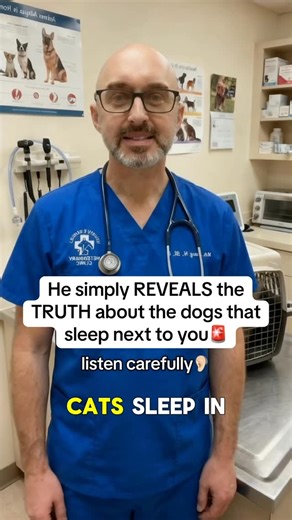 CatVetCare on Instagram: "https://amazon.bugmd.com/A3qv_8k0 #cats #catlover #healthycats #veterinariantips #usa"