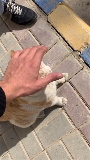 Zahoor Ahmed on Instagram: "Does this happen at your university too? The Guard vs student is a permanent. The guards at my university think I am still a student and need to have a card and uniform, I who has graduated in 2023 get called for trainings and sessions, the organisers tell them that is with us, yet they go by saying, nai nai isko ham jantai hmara student hai, My response: pir to baat hi khatam student hai to janai do 🙂"