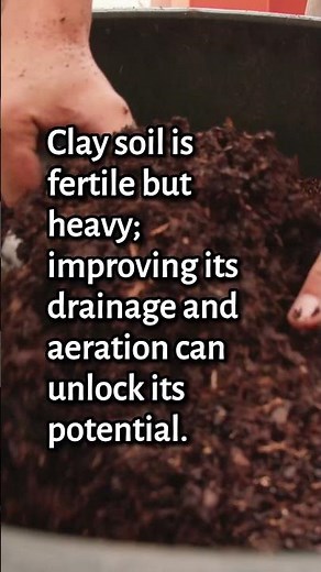 Soil Types Explained: Key Tips for Lush Gardens