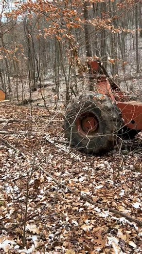 Logger work 🌲🚜🪚🥾🪵 . . .​ #loaderman559 #woodwork #loggers #woodworking #workhardplayhard #forestry #blackandwhite #hardwork #trees #tbt #hilights #tbt #logging #usa #oldschool #history #logginglife #logger #stihl8661 #historicalphotos #thenandnow #conservation #foodforthought #industrialrevolution #tbt #heritage #americana #oldwest #PioneerSpirit | Sander Young