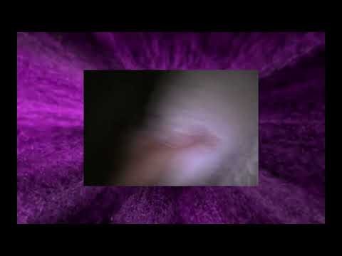 Skeleton Key - Origami Angel (Acoustic Cover)