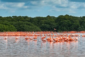 20 Ultimate Things to Do in Mérida and Yucatán State