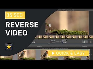 VideoPad Tutorial: How to Reverse Video in VideoPad