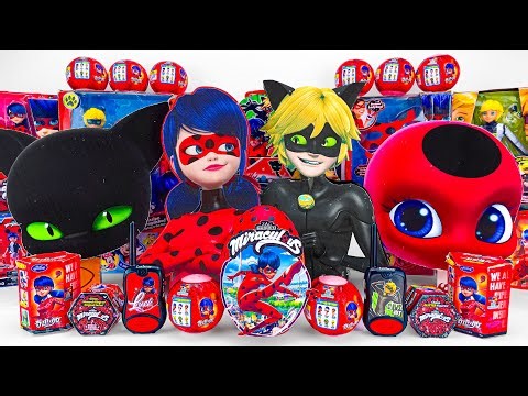 Miraculous Ladybug Toys Collection ASMR Unboxing Review | Mystery Cat Noir & Ladybug Surprise Boxes