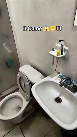 🎯 Take Aim, Gentlemen! Tired of cleaning up the “splash zone”? 🚽💦 Meet the Toilet Target Projector — turns every bathroom trip into a precision game! 😎 💡 Projects a glowing bullseye inside your toilet 😂 Helps men aim better (finally!) 🙌 Keeps bathrooms clean & relationships happier 👉 Make every shot count — aim like a pro! 🎯 | Michaer shop