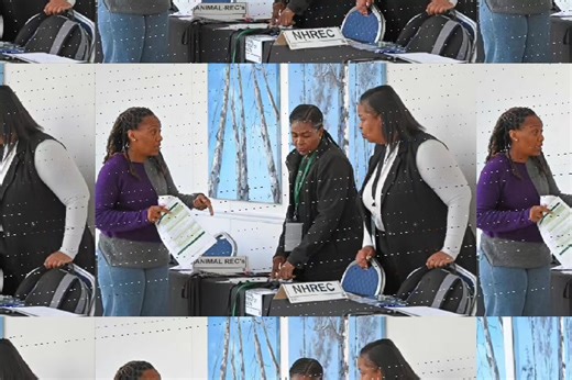 1.1K views | Day 1 of the two-day National Health Research Ethics Council (NHREC) joint meeting with the Human Research Ethics Committee (HREC) and the Animal Research Ethics Committee (AREC) at the ANEW Hotel & Convention Centre, OR Tambo, Johannesburg. | National Department of Health (South Africa) | Facebook