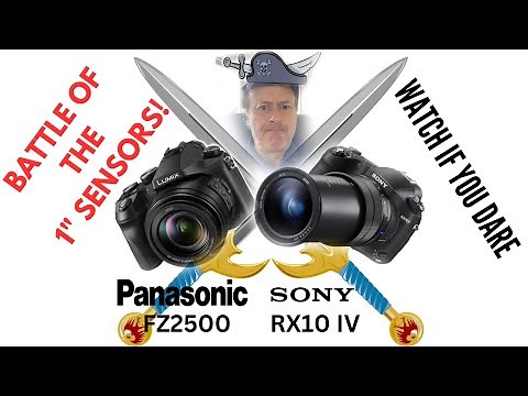 Sony RX10IV vs Panasonic FZ2500- The best superzoom is.......