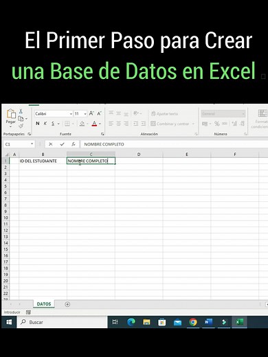 Crear una Base de Datos en Excel: Paso a Paso