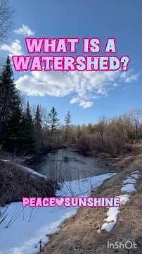 What Is a Watershed? (And Why It Matters!)