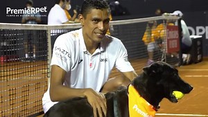 49K views · 545 reactions | Ontem, 15 de fevereiro, levamos para as quadras do Rio Open de tênis um time muito especial de CãoDulas: Kadu, Lua, Luna, Flora, Ferdinando e Fred dividiram a atenção do público com os melhores tenistas do mundo! Os cães participaram de um bate bola com os atletas e se divertiram pegando as bolinhas que saíram da quadra. Os seis cães atualmente estão sob os cuidados da ONG Patinhas Anônimas e estão #OpenParaAdoção! | PremieRpet | Facebook