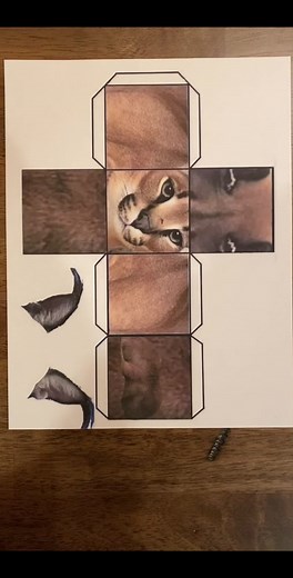 Creación de Papercraft: Floppa y Maxwell