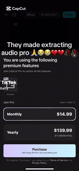 CapCut Pro: Audio Editing Made Easy