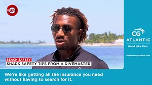 12K views · 154 reactions | Shark Safety Tips From A Divemaster As investigations continue after yesterday's fatal shark attack, a local shark expert and divemaster is explaining how the public can prevent negative interactions with sharks. #ournews_sep07 | Our News Bahamas | Facebook