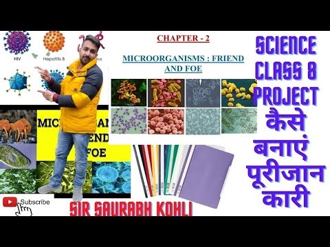class 8 science project file कैसे बनाएं how to make science project PART 1