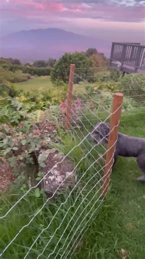 Another Majestic Morning, it never gets old 🙏 | Ruby Mazur