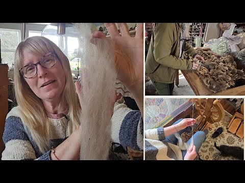 Tips for handspinning hard to spin wool, skirting a Finn sheep fleece and inside the wool mill