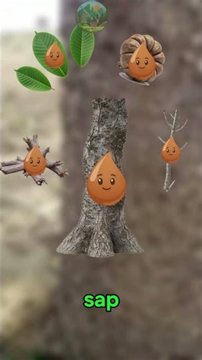 The Plant Can Explodes