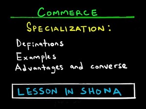 Specialization | Lesson 1:3 | Commerce | ZIMSEC | Topic 1: Introduction to Commerce