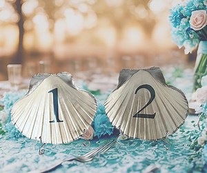 Scallop Shell Wedding Table Numbers. Custom Coastal Table Sign Decor. - Etsy