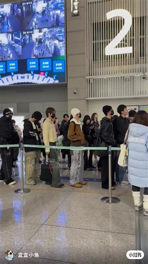 NouerA's Journey to the Chromosome Universe Concert