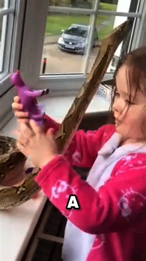 The Little Girl and Her Python Friend