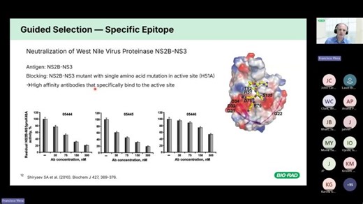 Landscape of phage display in therapeutic antibody discovery with Bio-Rad | The Antibody Society