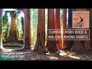 Exploring Sequoia’s Giants + Breathtaking Moro Rock Hike! Sierra Nevada, CA