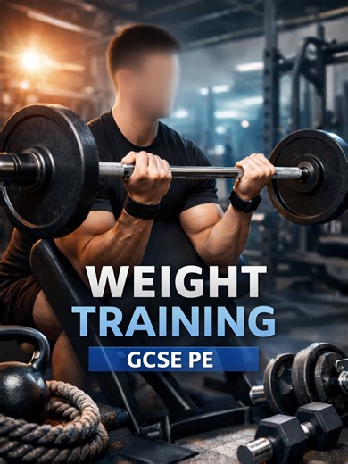 Weight Training Learn all about weight training in GCSE PE! Discover the different types of strength training, how muscles work, and how exercises like curls, squats, and planks improve strength, power, and stability. Perfect for quick revision or exam prep. #PE #education #school #gcse #body